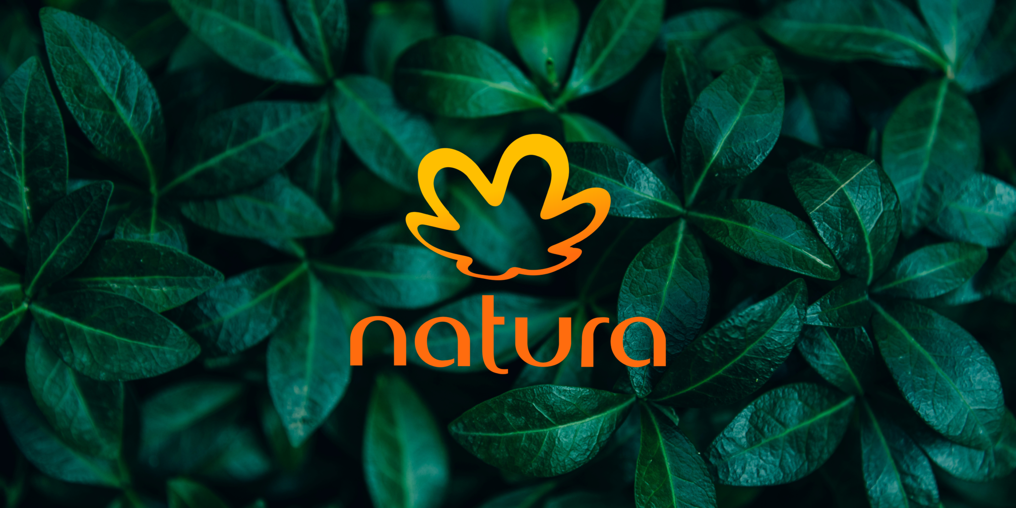 Marcas de Alto Renome: Natura, Havaianas e Cacau Show | Apex Marcas e ...