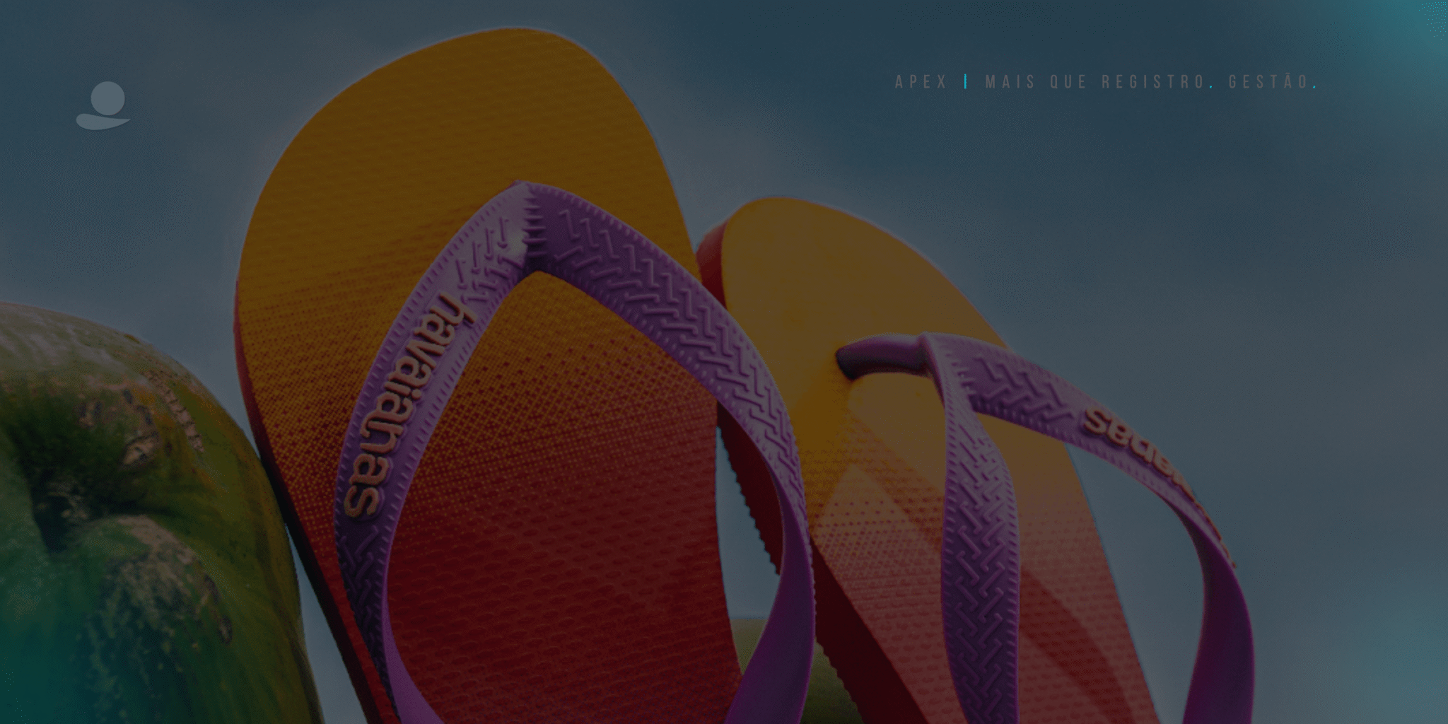 Havaianas e a proteção de marca: a estratégia além do registro | Apex ...